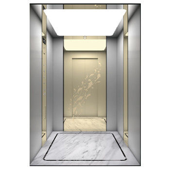 Small Traction Type Home Monarch Villa Lift Stainless Steel Private ...
